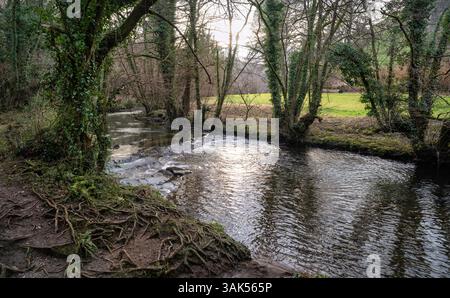 The West Okement River, near Okehampton Castle, Okehampton, Devon ...