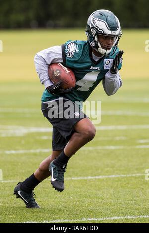 Philadelphia Eagles wide receiver Greg Ward in action during an NFL ...