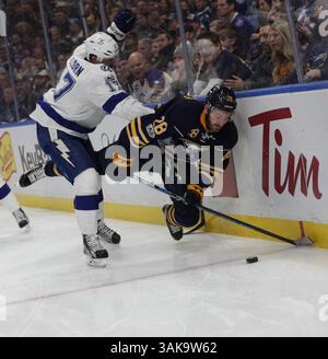 Tampa Bay Lightning center Zemgus Girgensons (28) celebrates his goal ...