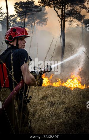 DRUNEN - Emergency services are present in a forest area near the ...