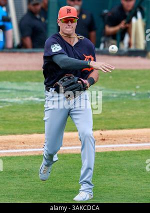 Detroit Tigers starting pitcher Tyler Alexander plays during a baseball ...