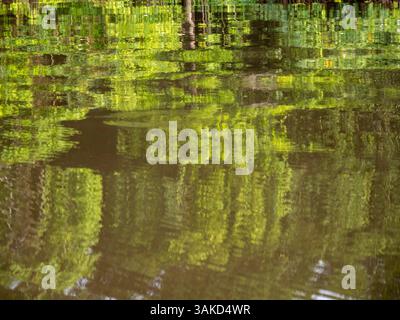 An abstract painting of nature. Created by the Amazon, the light and ...