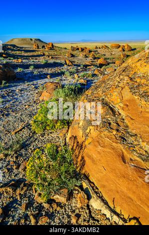 Spherical sandstone concretions exposed from erodeing clay in the Red ...