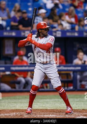 Los Angeles Angels left fielder Taylor Ward makes a catch a ball hit by ...