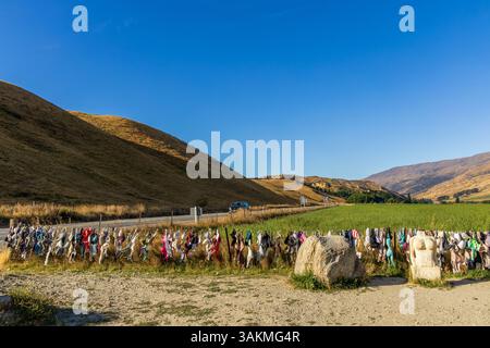 The Cardrona Bra Fence, Cardrona, (near Wanaka), South Island, New ...