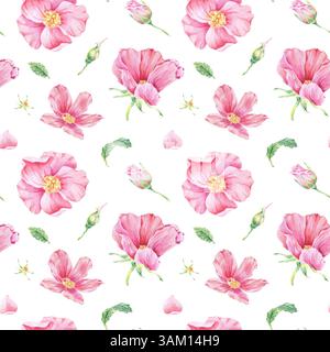 Wild rose or Rosehip with green leaf, Hand drawn watercolor ...