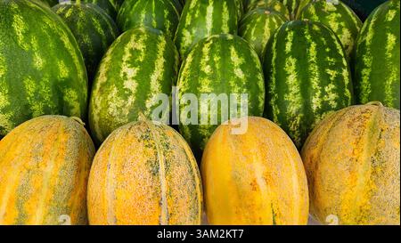 watermelons on the market counter Stock Photo - Alamy