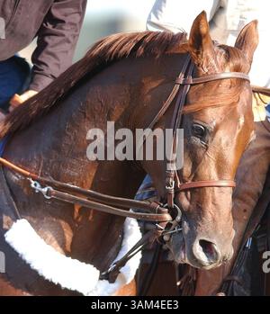 KRT SPORTS STORY SLUGGED: RAC-KENTUCKYDERBY KRT PHOTOGRAPH BY JUSTIN ...