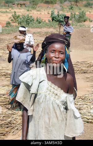 Men and women woking the fields in rural Niger, west Africa. Threshing ...