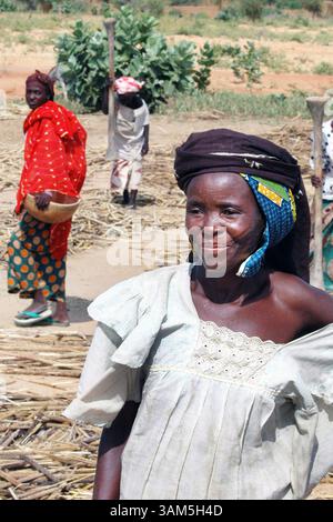 Men and women woking the fields in rural Niger, west Africa. Threshing ...