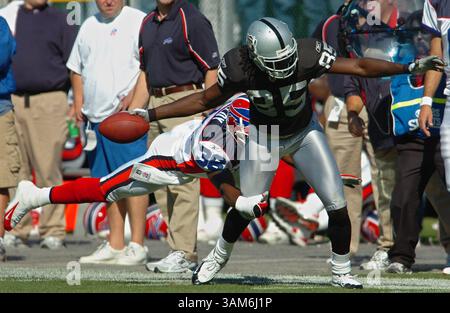 Buffalo Bills wide receiver Gabriel Davis (13) in action against the ...