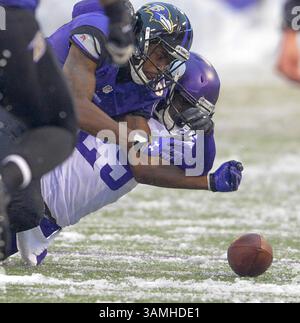 Baltimore Ravens wide receiver Xavier Guillory (87) works out during ...