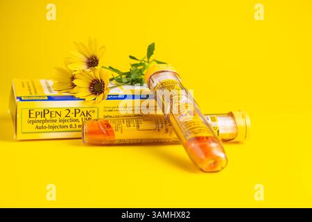 EpiPen 2-pak epinephrine auto injectors manufactured by Mylan ...