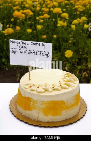 Carlsbad, California, USA. 13th Apr, 2025. Cake lovers arrive for the ...