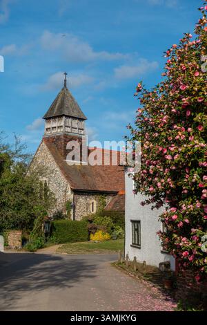 St Mary's Church,Stodmarsh Rd, Stodmarsh, Village,Canterbury,Kent ...