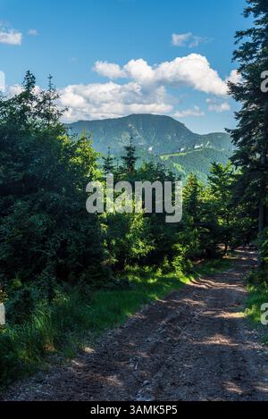 Springtime Velka Fatra mountain bellow Nizne Siprunske sedlo mountain ...