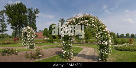 Rose garden, Lottum, , Limburg, Netherlands, René van der Meer Stock ...