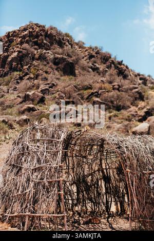 Southwest willow branches Stock Photo - Alamy