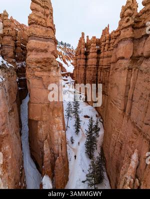 Picturesque trees and rock formations in Sedona, Arizona, USA Stock ...