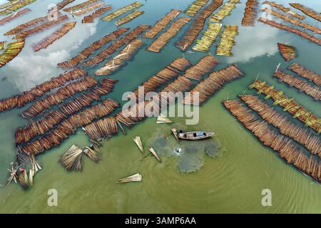 Aerial view of jute retting with beautiful patterns and shapes in water ...