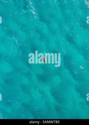 Aerial view of a turtle, Fraser Coast, Queensland, Australia Stock ...