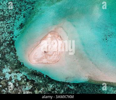 Aerial view of a paradise beach at Morotai Utara island, North Maluku ...