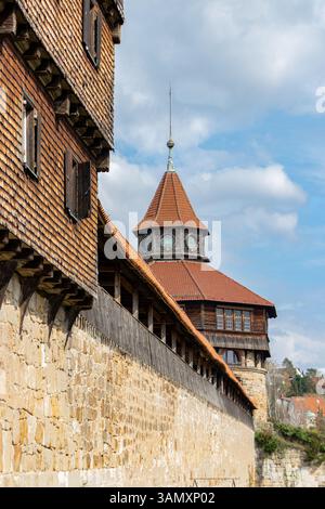 Esslingen Castle (Burg), Germany Stock Photo - Alamy