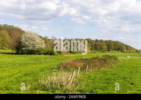 Frühling in Hessen Die Sonne scheint auf den Wald und die Landschaft im ...