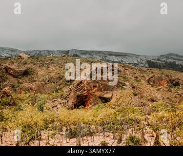 Scenic landscape on the trail to Hoq Cave in Socotra, Yemen Stock Photo ...