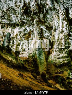 Intricate stalactite formations inside Hoq Cave in Socotra, Yemen Stock ...