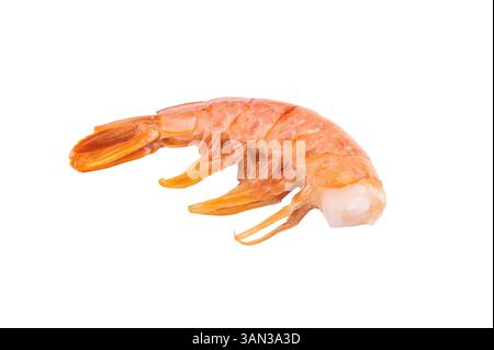Raw Headless Red Argentine shrimps, Prawns in a skillet isolated on ...