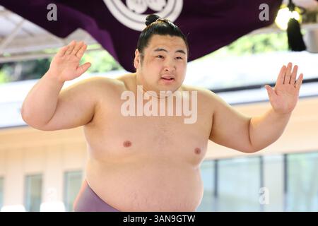 Tokyo Japan. 14th Apr, 2025. Tamawashi, APRIL 14, 2025 - Sumo : Annual ...