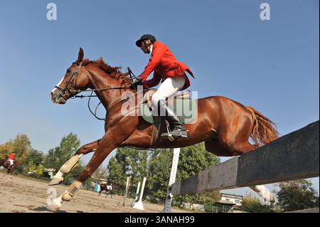 Jumping competition. Athletes and their horses train on a platform with ...
