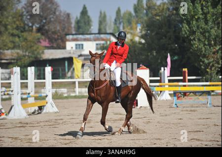 Jumping competition. Athletes and their horses train on a platform with ...