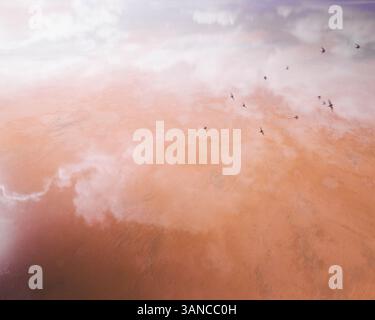 An aerial view of Hutt Lagoon, the Pink Lake in Port Greg Stock Photo ...