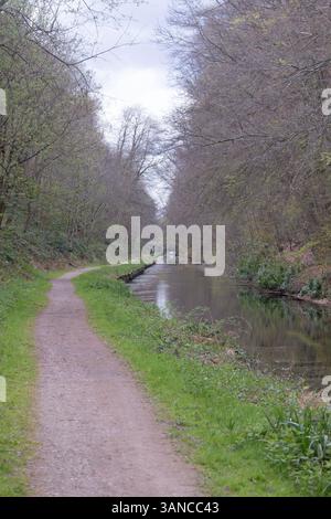 A view of the Basingstoke Canal, near Deepcut, Surrey, UK Stock Photo ...