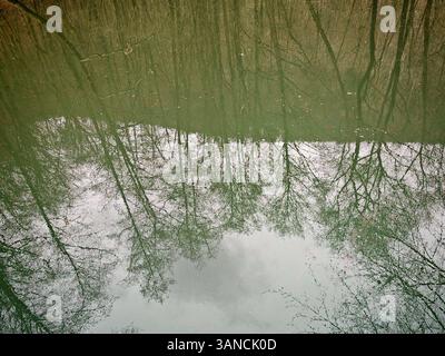 A pond is a basic system for collecting and harvesting water A pond is ...