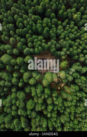India, Himachal Pradesh, Manali: a Hindu priest sits near the masks and ...