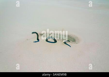Aerial view of Lake Bumbunga with the Loch Ness monster sculpture in a ...