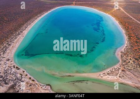 Aerial of Little Lagoon, Denham, Shark Bay, UNESCO World Heritage Site ...