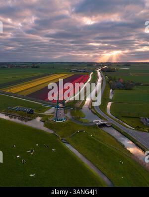 Polder landscape, Kaagmolen, The Netherlands Stock Photo - Alamy