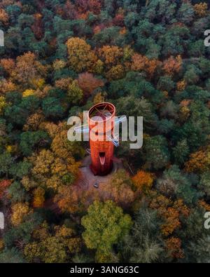Aerial view of autumn forest with Bosbergtoren watchtower surrounded by ...