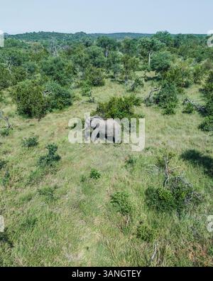 Aerial view of Elephants in Balule Nature Reserve, Maruleng, Limpopo ...