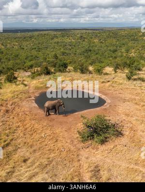 Aerial View of an elephant near a lake at Balule Nature Reserve ...