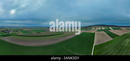 Rows on the field. Natural aerial landscape on the agricultural subject ...