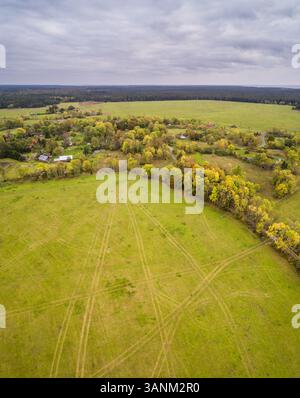 Natural beautiful panorama view with pathway and green plants trees in ...