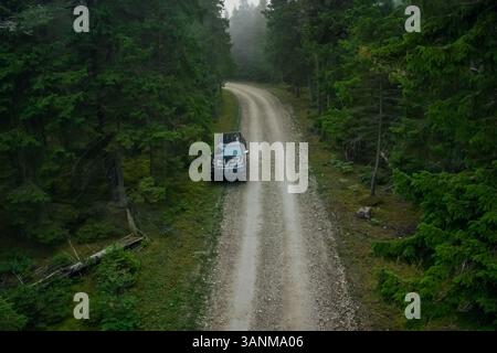 Aerial view of black car going through forest in Forby on Vormsi island ...