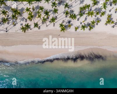 An aerial top shot of Punta Cana beach view with trees and gazebos on ...