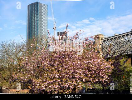 Image of Viaduct in Castlefield, manchester Stock Photo - Alamy