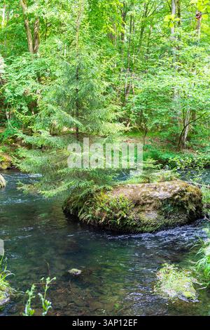 Fluss Trieb im Triebtal zwischen Talsperre Pöhl und Mündung in die ...